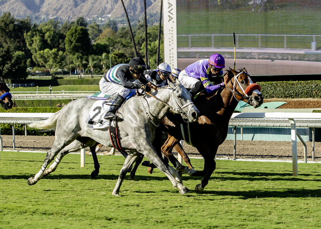 Man O Rose Looks To Extend Win Streak In The Chosen Vron Stakes