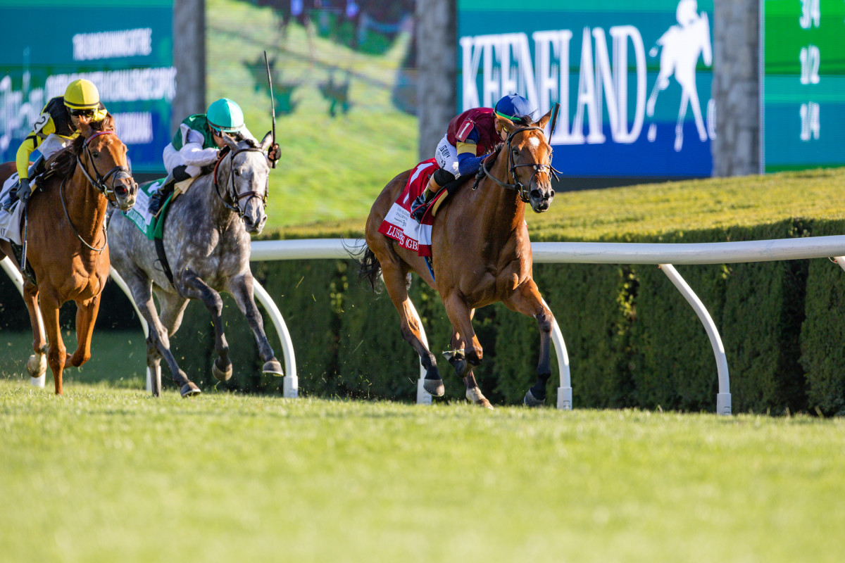 Medallion Racing Sneak Preview: Looking Back On Lush Lips' Queen ...