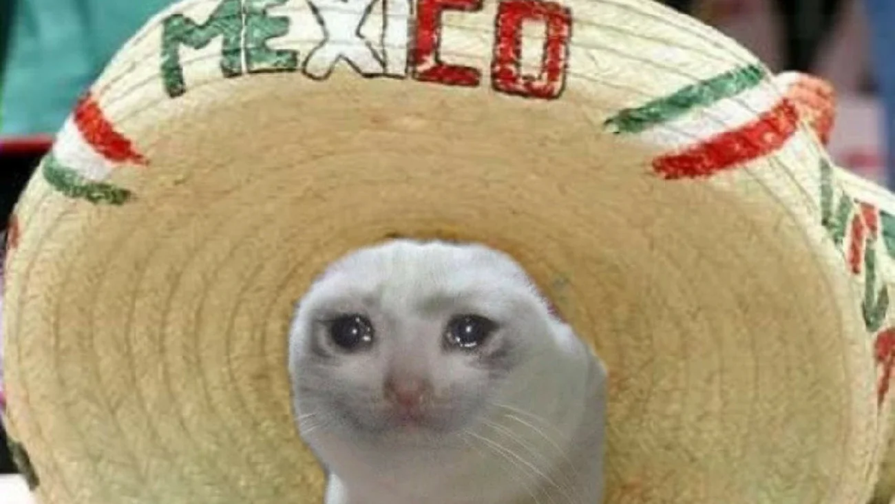 ‘Mechico’: Los mejores memes de la derrota de México a mano de ...