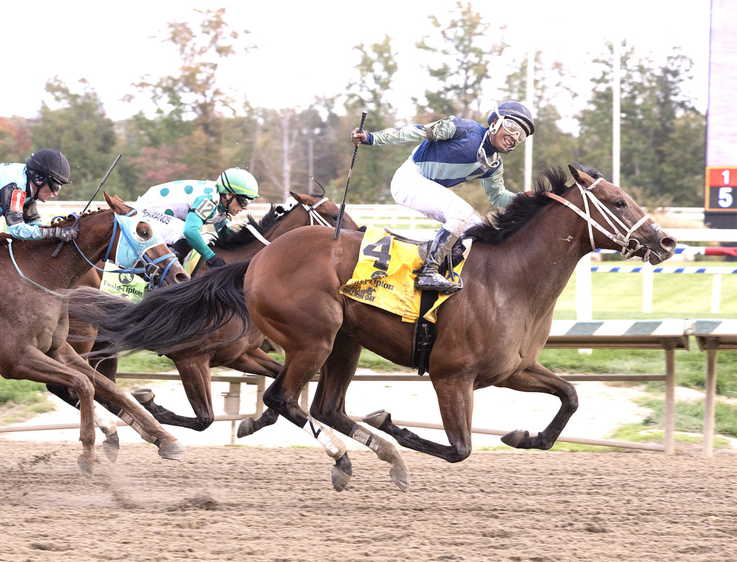 Undefeated Big Cuddle Takes On Balboa In James F. Lewis III Stakes