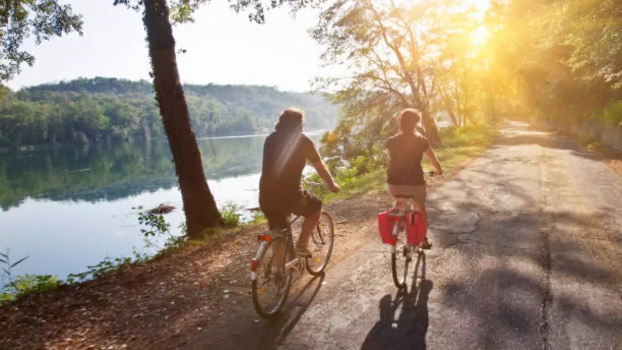 The one hidden habit that could cut your risk of heart disease and ...