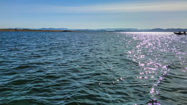 Researchers stunned as trail cameras capture footage of unbelievable ...