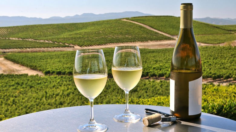 A Guide To Chardonnay: Everything To Know About The White Wine
