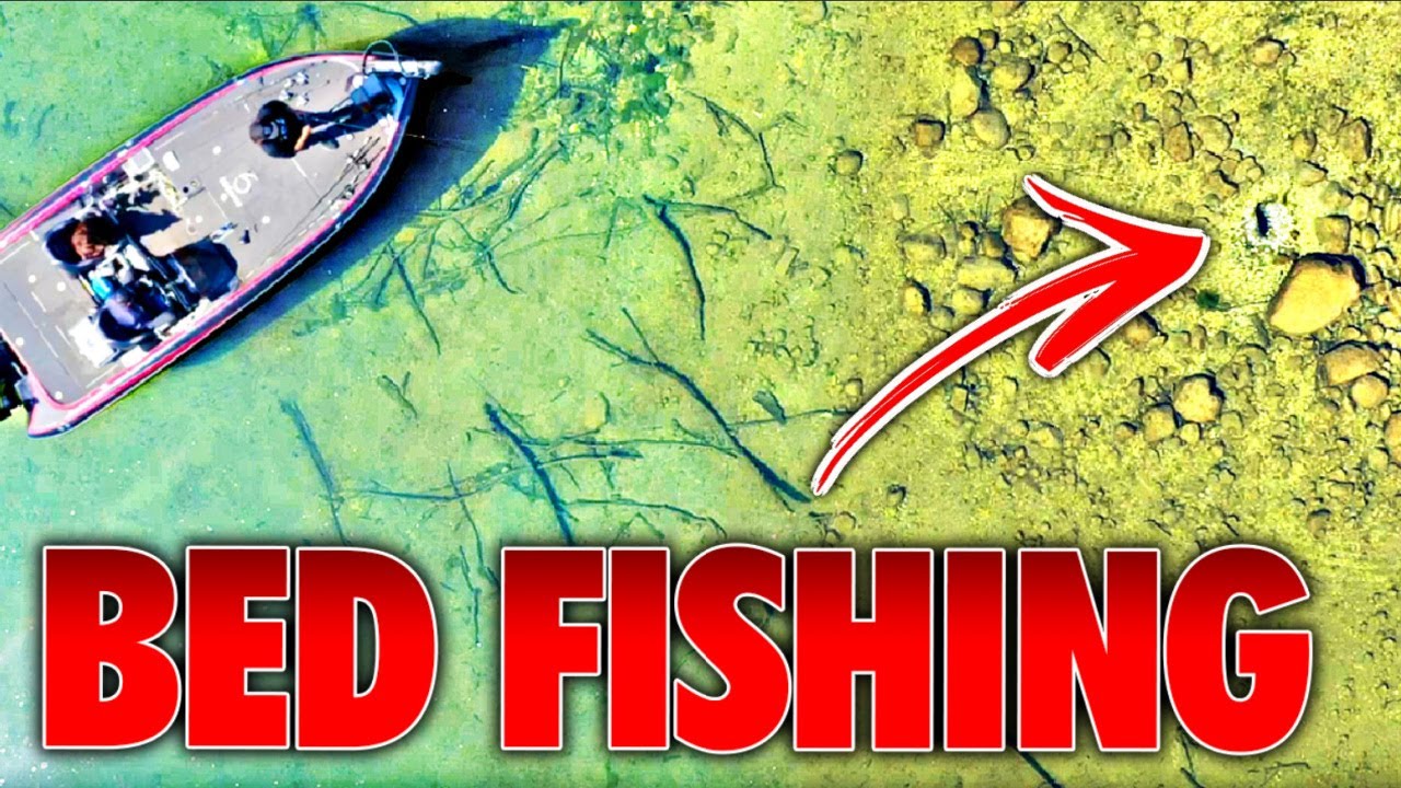 Stars align for once-in-a-lifetime day of epic fishing