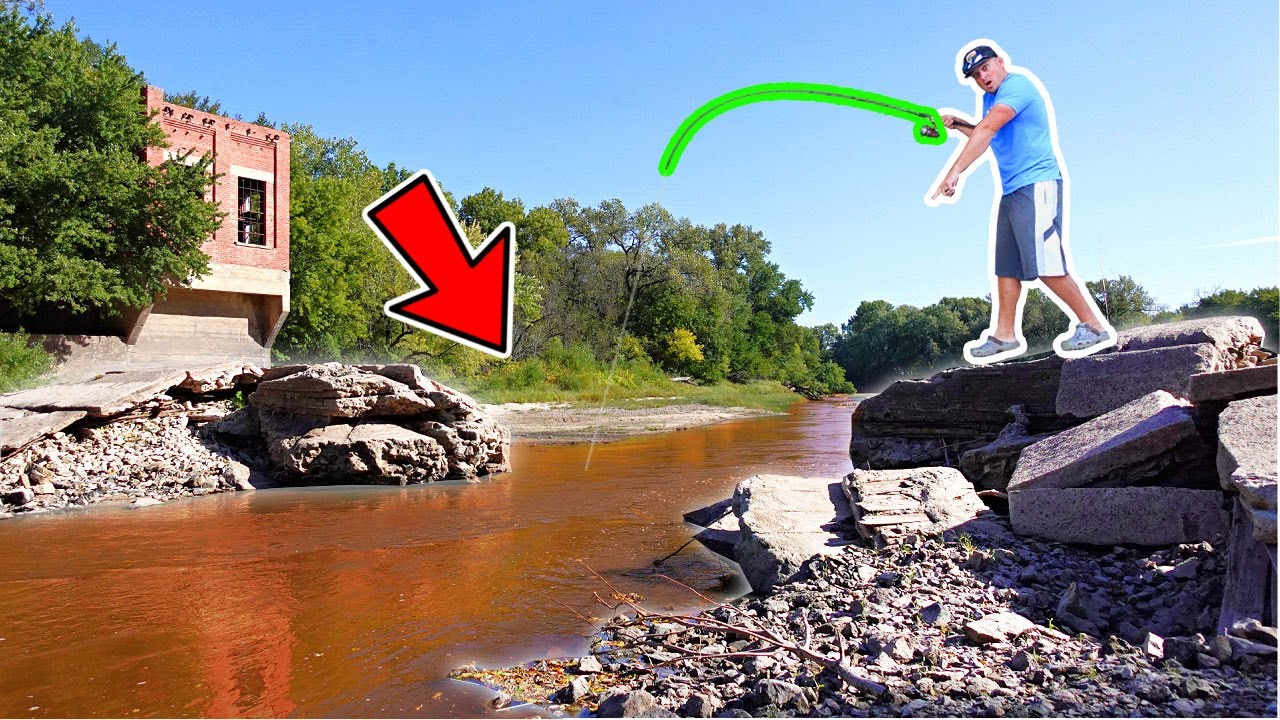 Broken dam reveals the massive fish living below