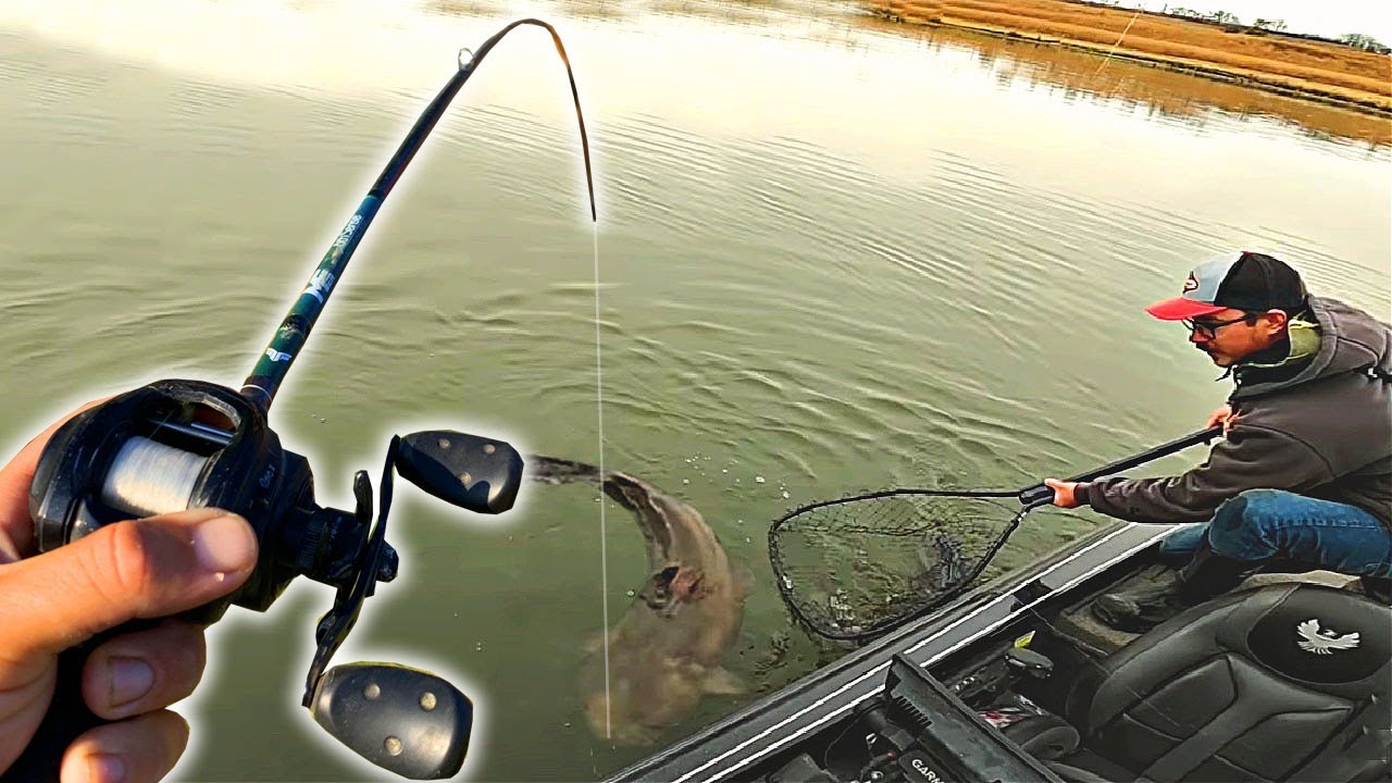 I thought I was snagged until a pond monster surfaced