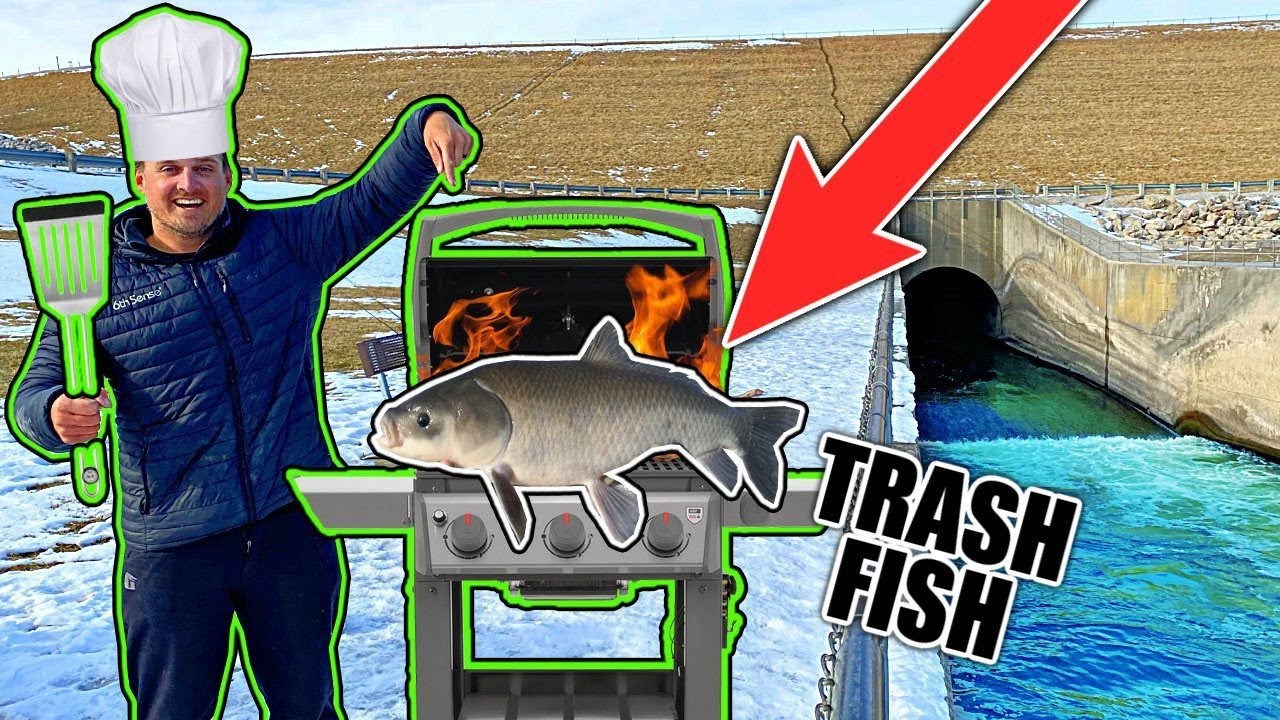 Trash fish caught and cooked on spillway bank