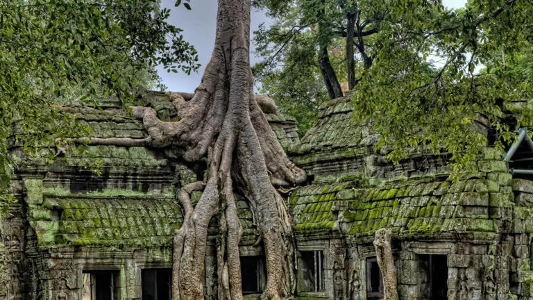 From Jeddah To Phuket And Hanoi: The Coolest New Direct Routes From ...