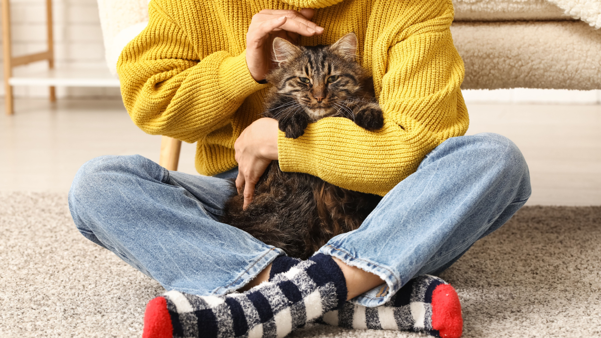 10 Signs That Reveal You Are A Good Mother To Your Cat