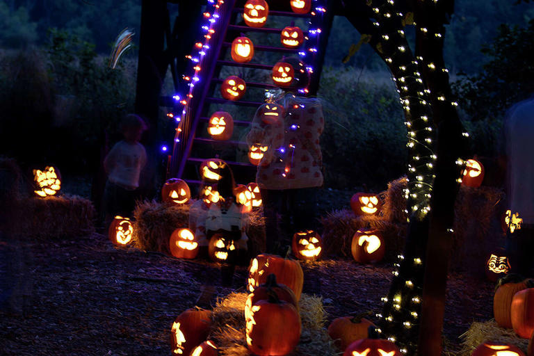 Huge crowd comes out to enjoy the first Pumpkin Glow