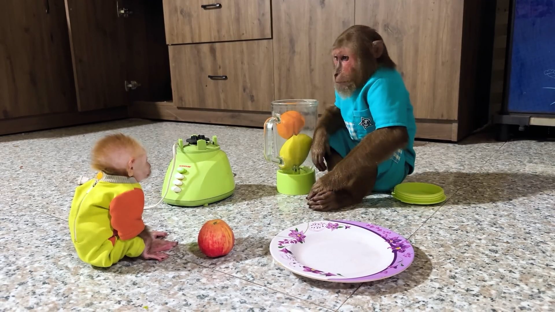 Cutis Reacts When Baby Gets More Attention