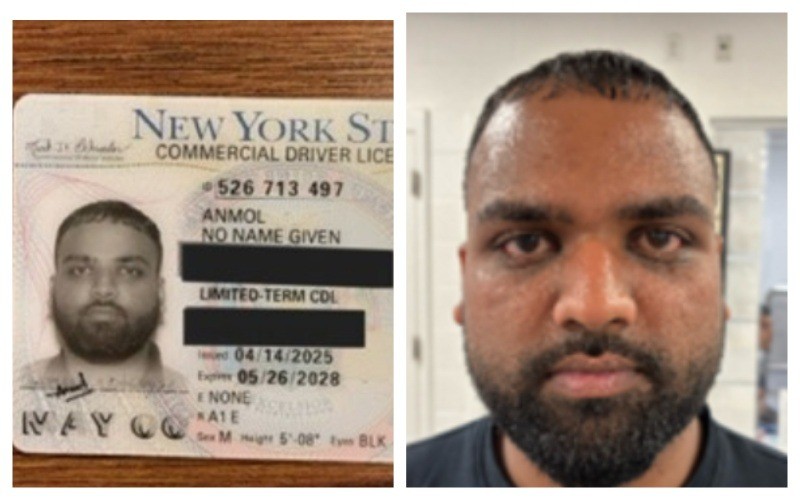 US: Indian-origin driver with 'No Name Given Anmol' licence arrested ...