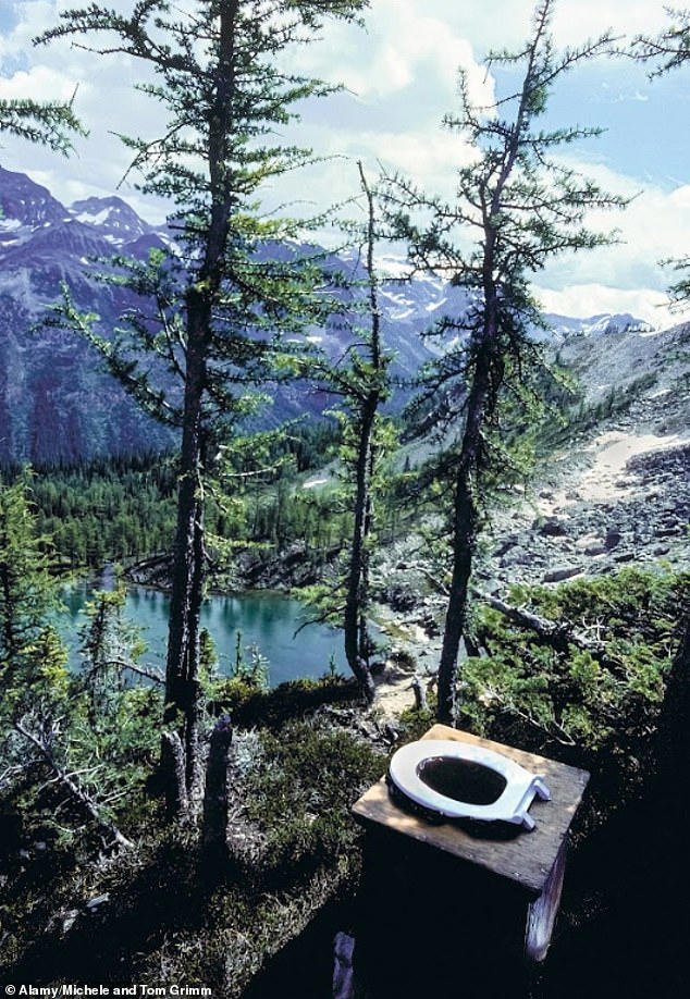 World's most unusual toilets pictured - including a 14,500ft seat in ...