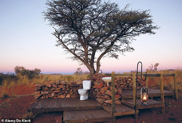 World's most unusual toilets pictured - including a 14,500ft seat in ...