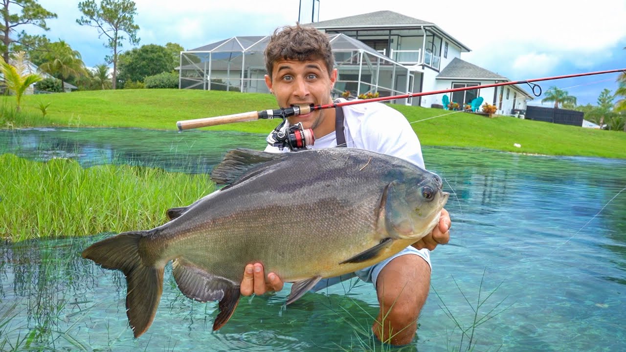 I caught a giant piranha in my pond!