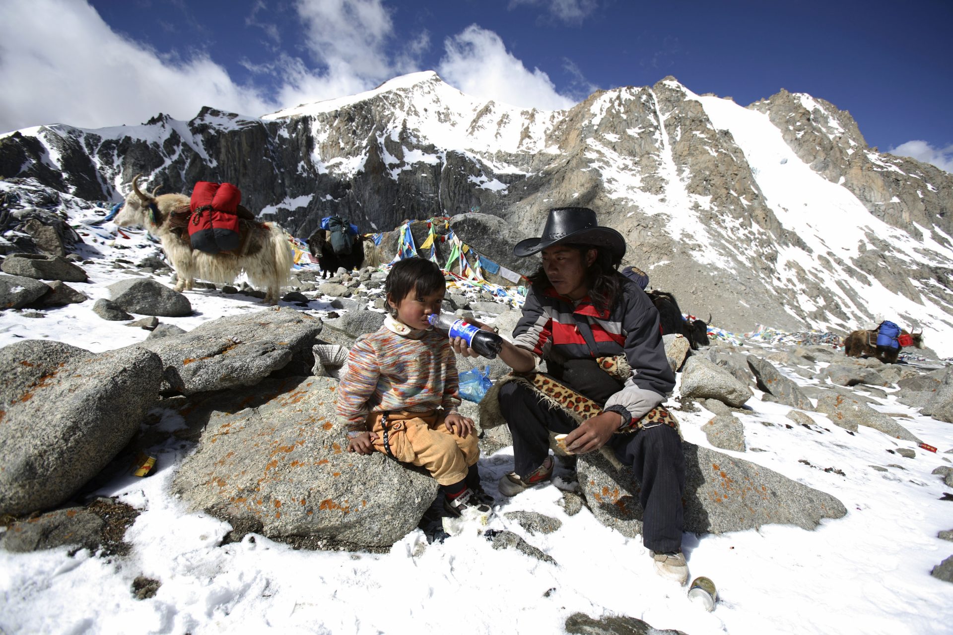 How Tibetans evolved to thrive at high-altitudes