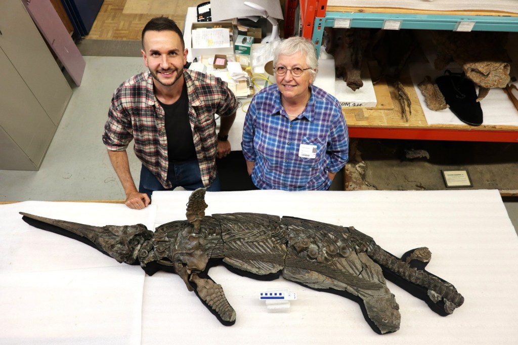 ‘Sword dragon’ fossil found off Dorset coast could well be evolutionary ...