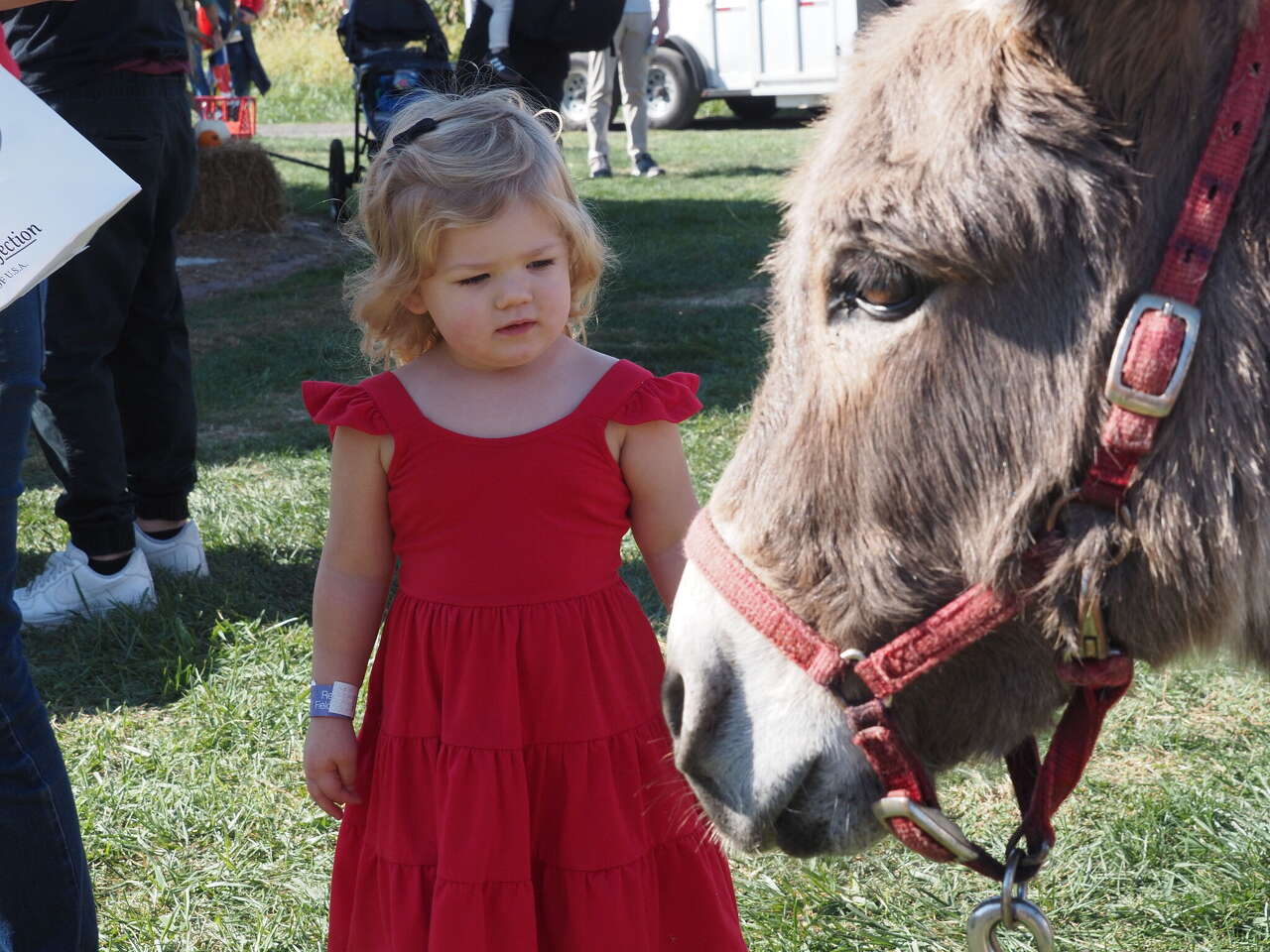 Families pick apples and raise hope at Liberty Apple Orchard