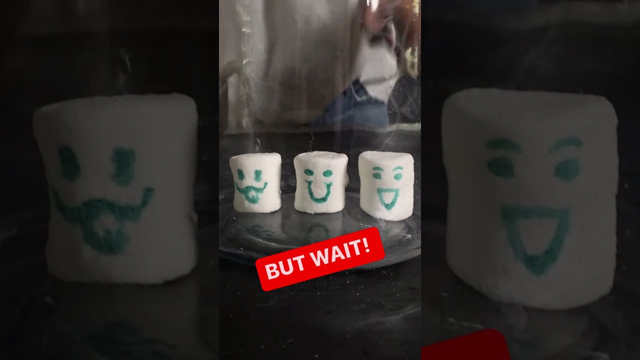 Can You Pick the Right One Try This Challenge