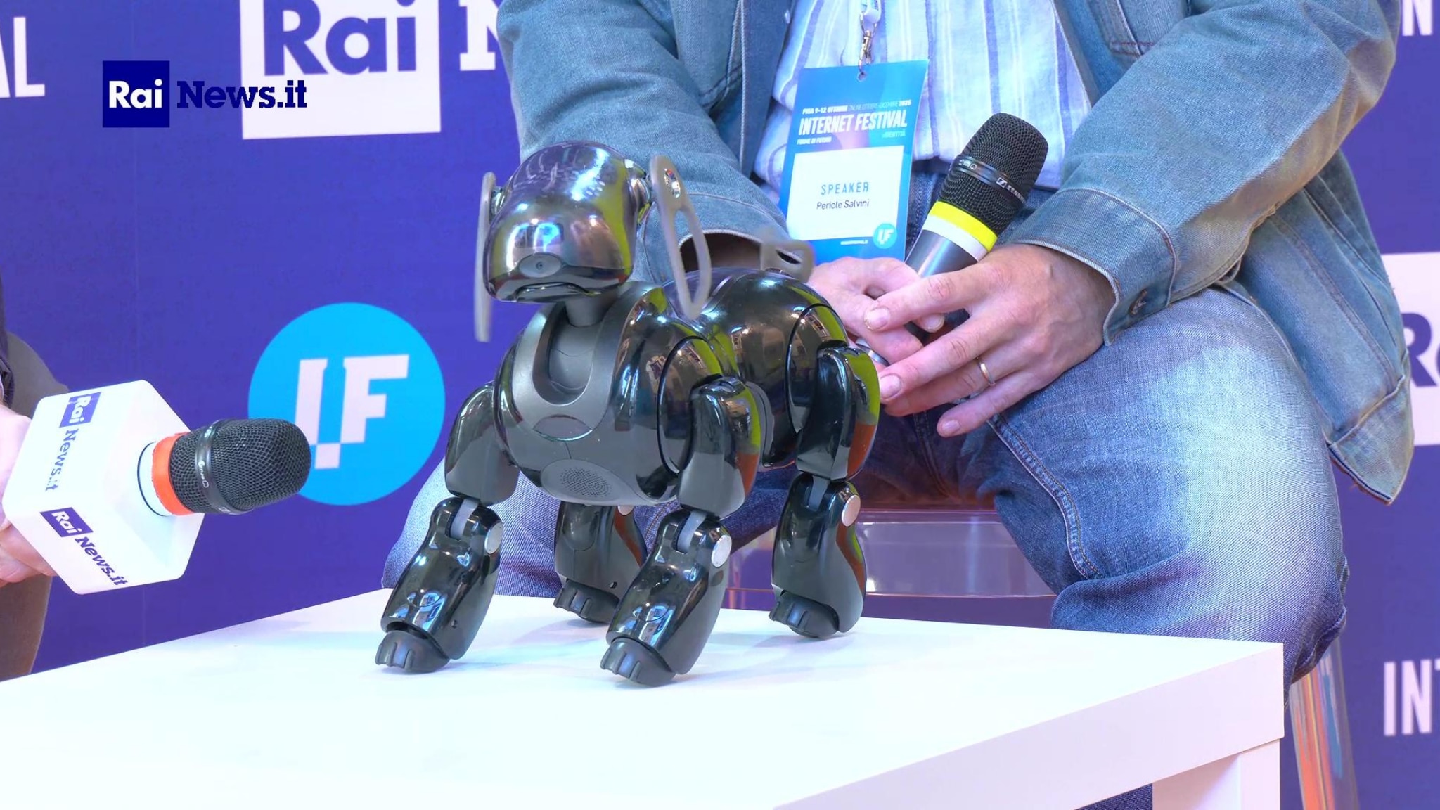 Può nascere amicizia tra robot e umani? Ecco la storia del cane "Robotolo"