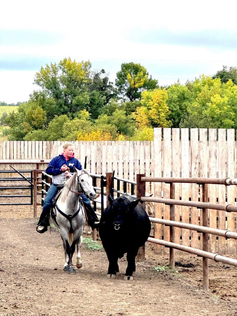 SIEMENS SAYS: Manitoba voices in Ottawa: Steppler Farms and the ...