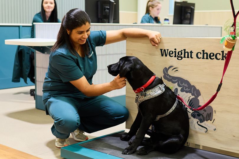 Liverpool vet reveals their weirdest cases