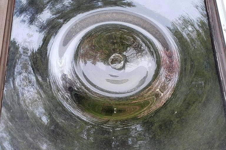 People gobsmacked after learning true reason some windows have 'circles ...