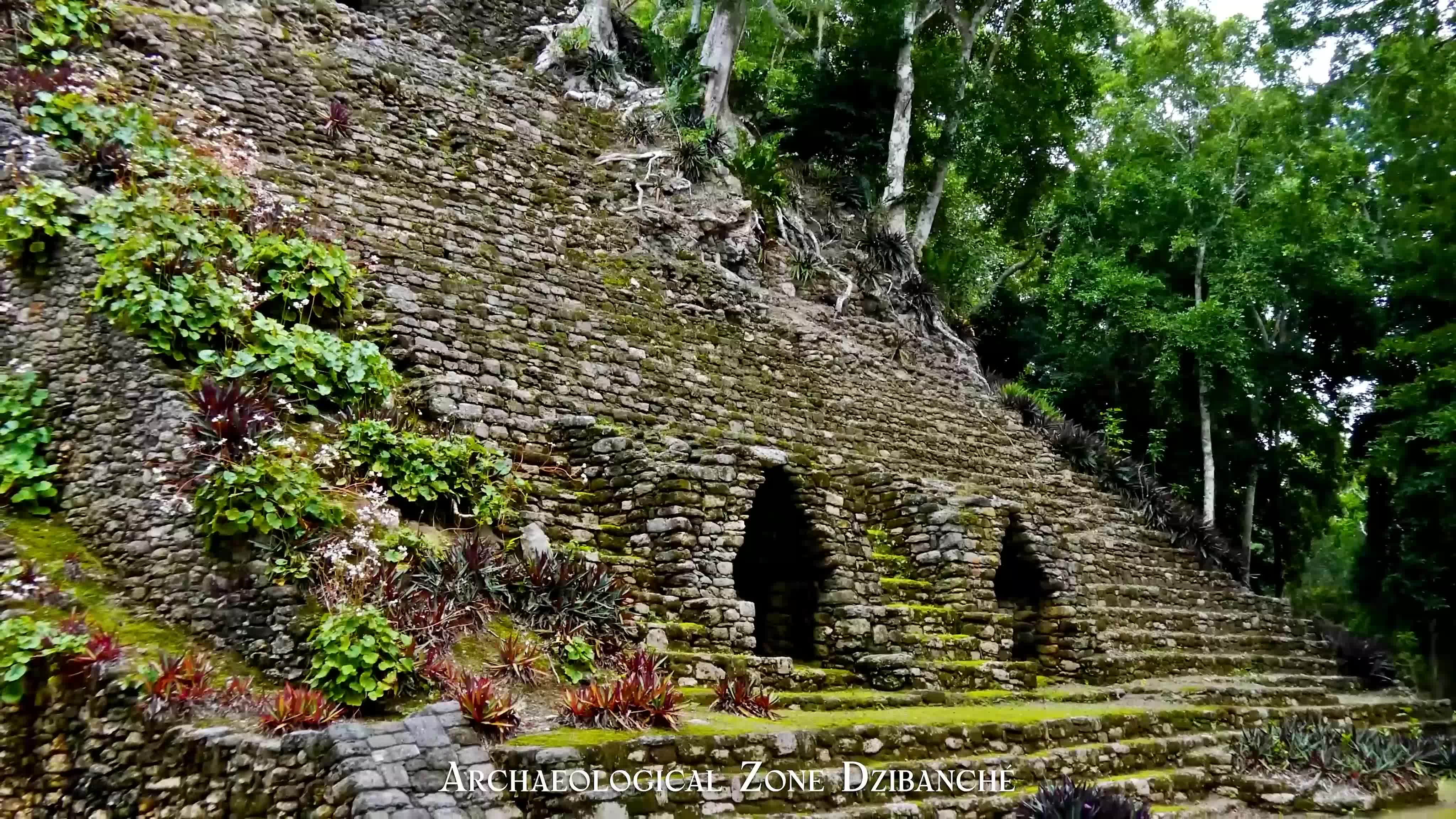 Mexico – Aerial View of Riviera Maya
