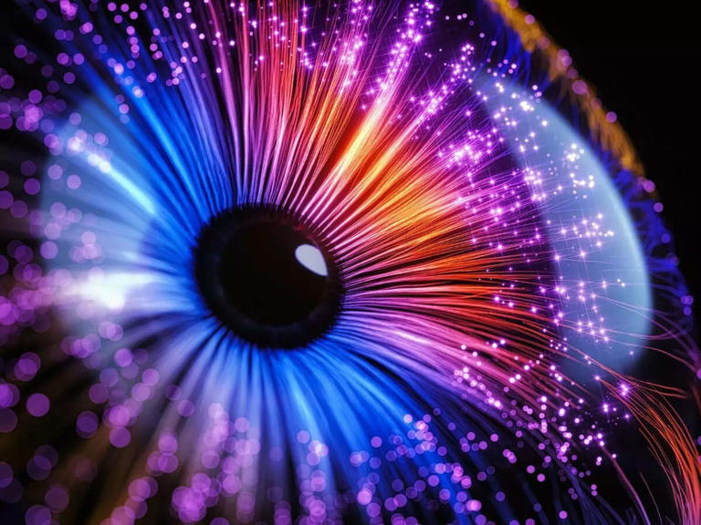 Inside the brain: Do we really share the same color experience ...