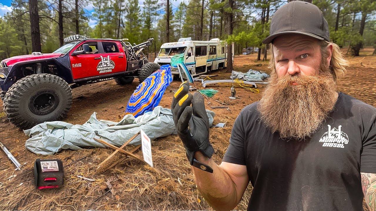 Clearing forest trails: abandoned vehicles found