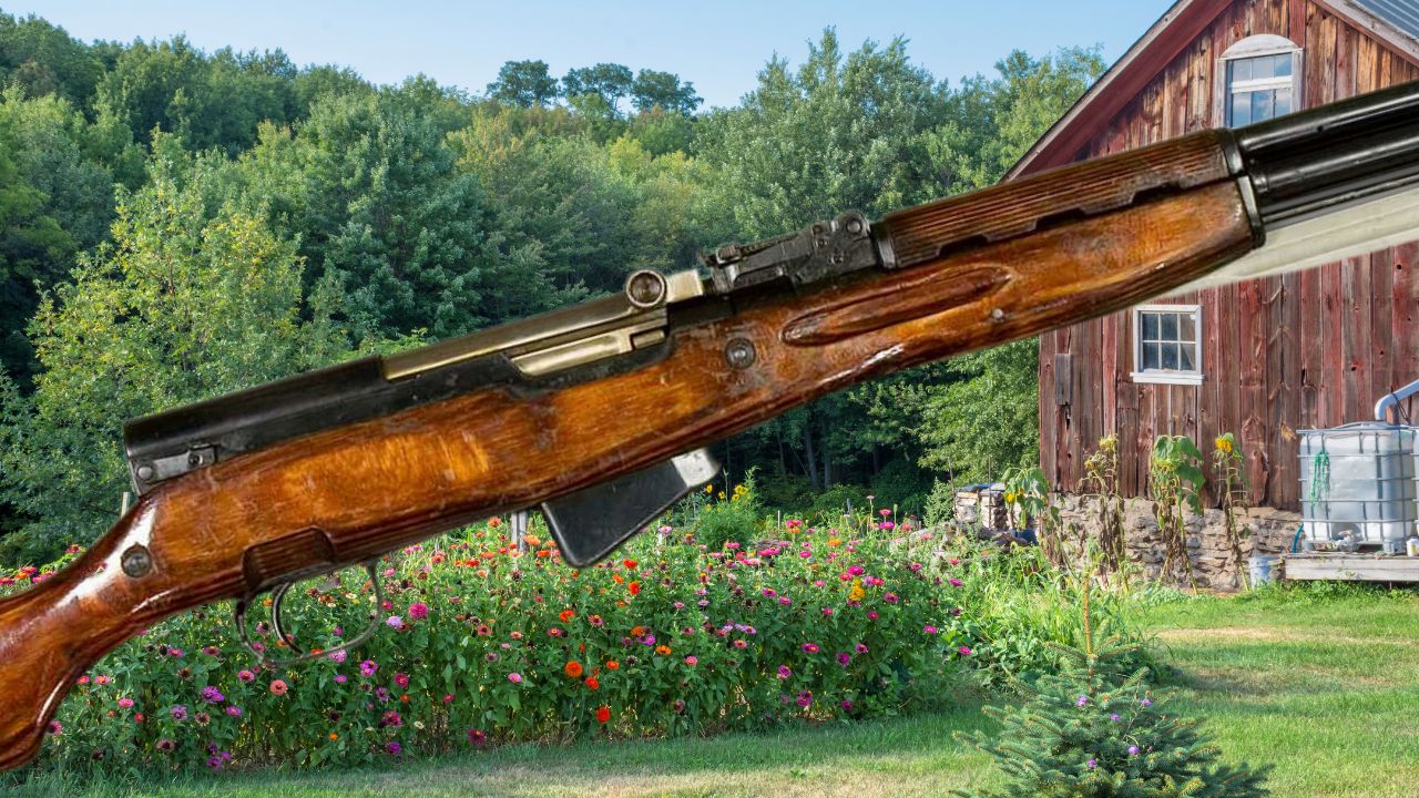 10 Military-Surplus Rifles Homesteaders Use to Protect Your Property ...