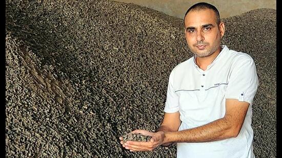 30% more industrial units warm up to eco-friendly paddy straw pellets ...