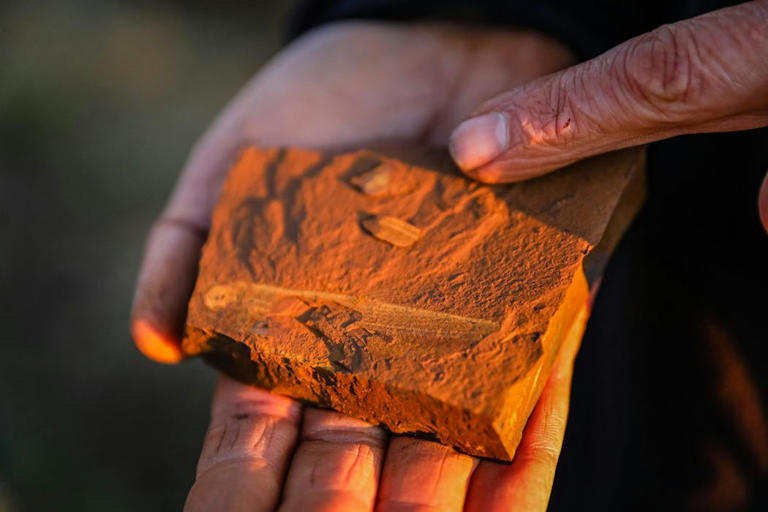 Unusual red rocks in Australia are rewriting the rules on exceptional ...