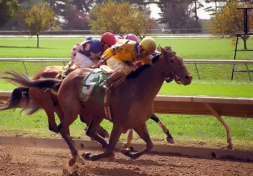 11 best places to take kids in Kentucky: Fun-filled family activities ...