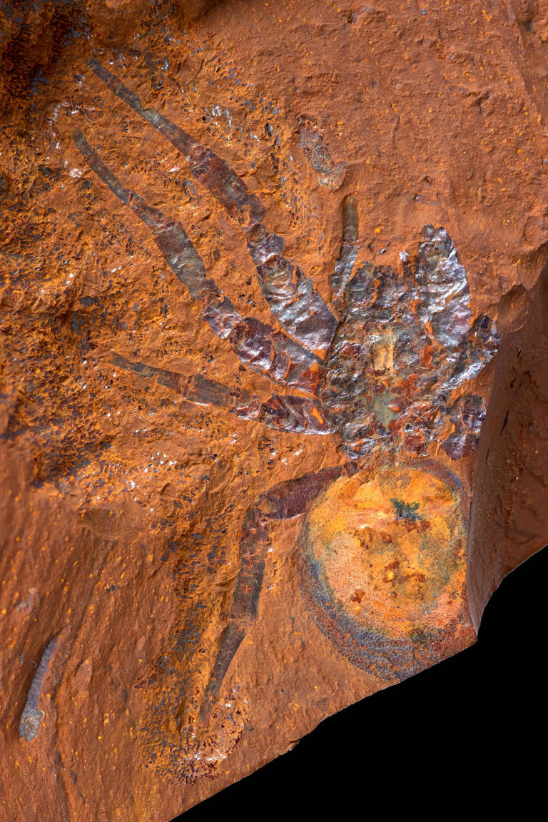 Unusual red rocks in Australia are rewriting the rules on exceptional ...