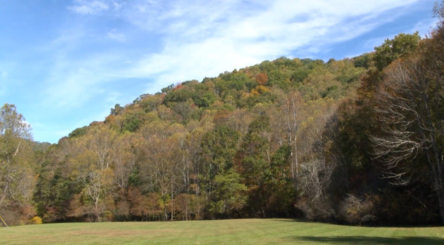 ETSU experts say fall colors expected to be vibrant