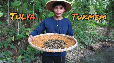 Cooking Clam Ginisang Tulya (Ginisang Halaan) | Rural Life in the ...