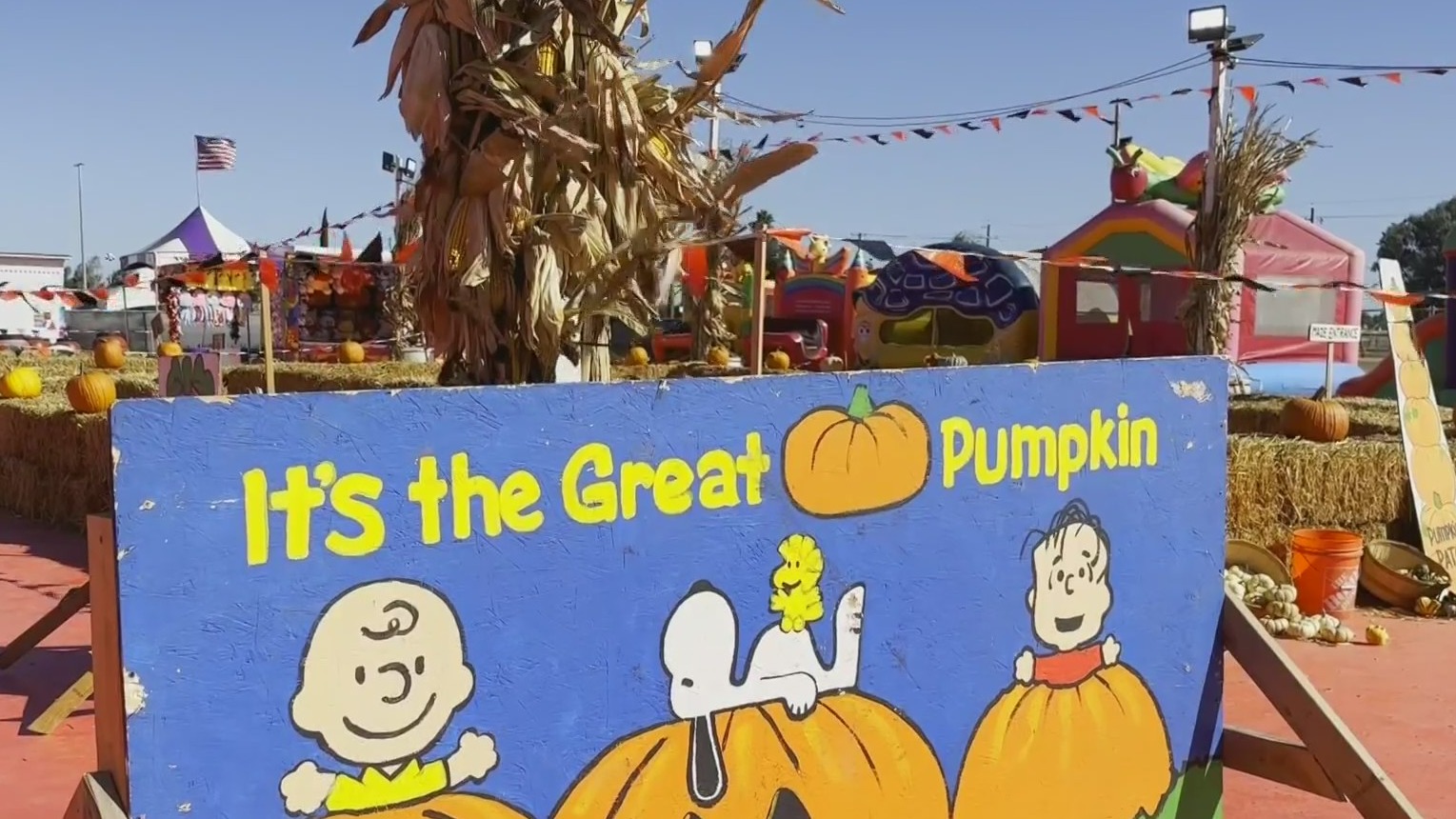San Joaquin County pumpkin farmers prepare for storm
