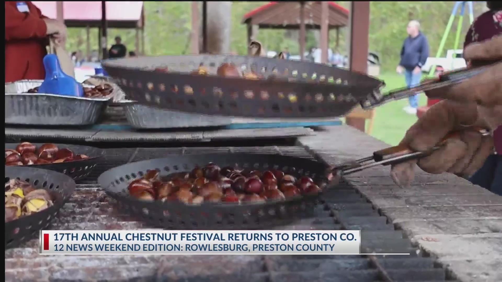 Rowlesburg’s Chestnut Festival honors the American chestnut tree