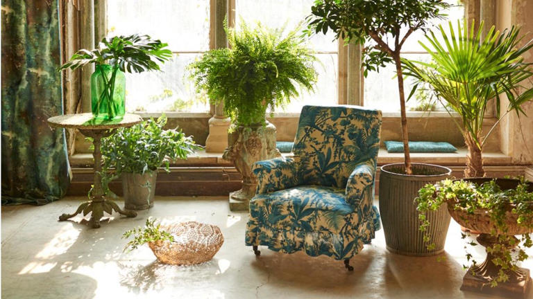 Interior designers swear by these 5 tricks to layer houseplants