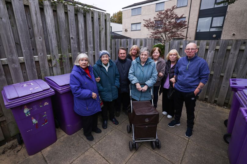 11 purple bins were stolen overnight and the rats have grown fat