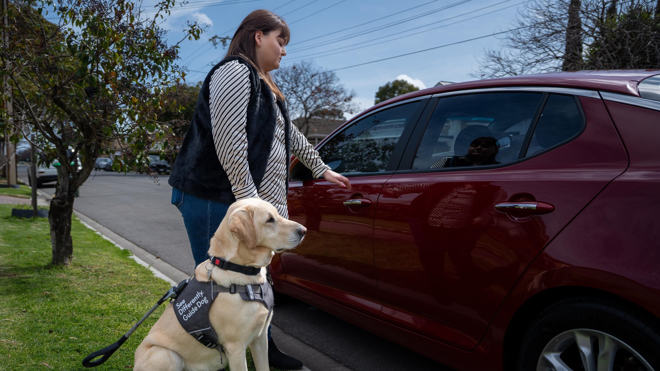 Uber drivers refusing rides due to guide dog, handler says