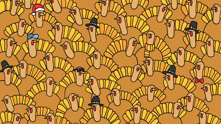 There Is A Pumpkin Hidden Among Turkeys! Are You Among Top 1% Sharp ...