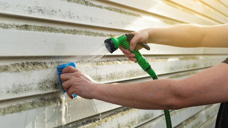 The Leaf-Raking Mistake That Creates The Perfect Environment For Mold ...