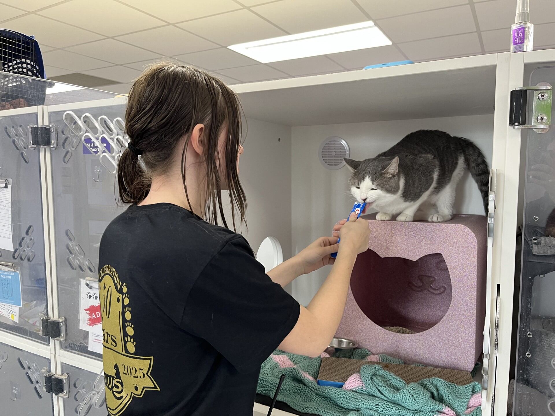 UPAWS celebrates 50 years with an open house event