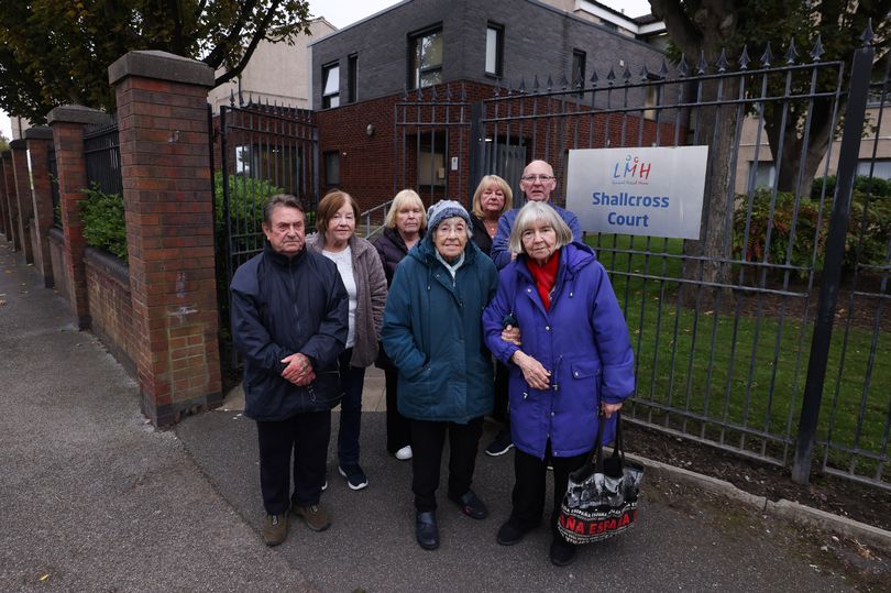 11 purple bins were stolen overnight and the rats have grown fat