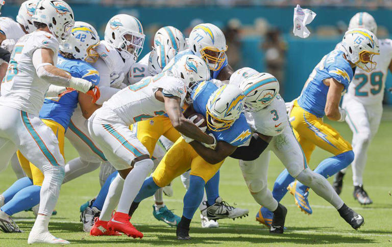 Look at the scene from this week's Miami Dolphins home game