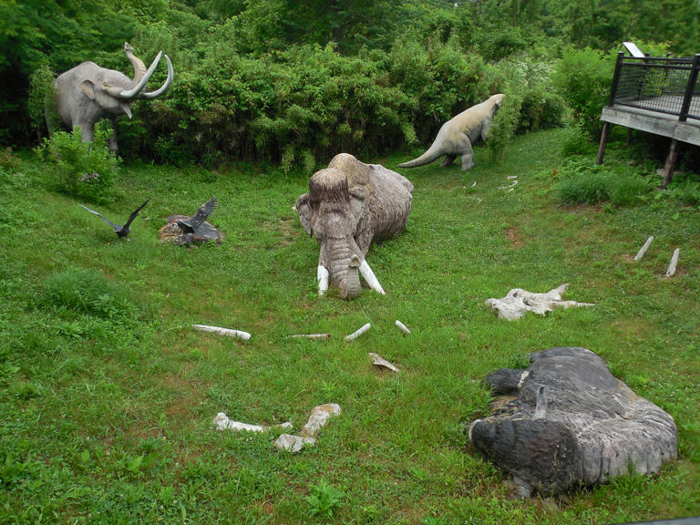 11 Best Places to Take Kids in Kentucky: Fun-Filled Family Activities ...