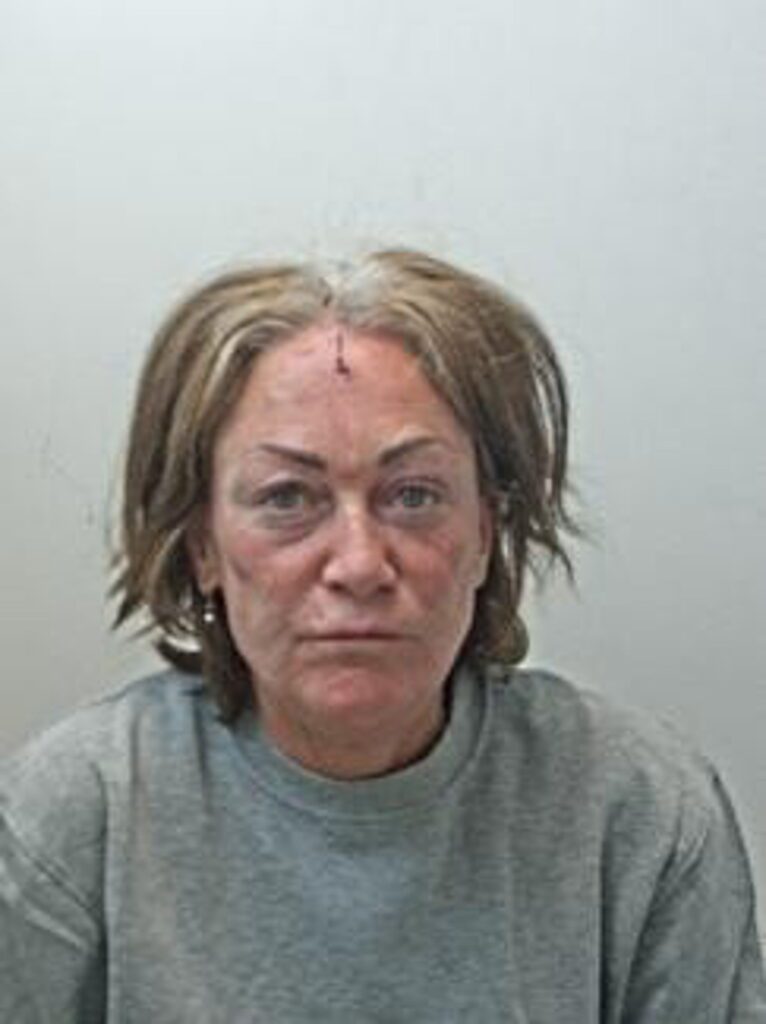 Moment woman arrested for attempting to abduct baby in a pram