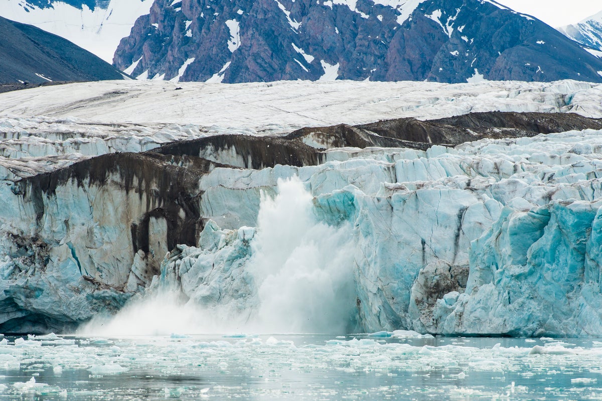 World reaches first climate tipping point as scientists issue urgent ...